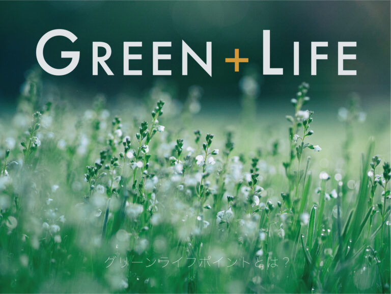 グリーンライフ・ポイントとは？脱プラ、SDGs/ESG経営時代の木製ノベルティ | ノベルティや記念品でSDGsに間伐材、木製グッズのWood+