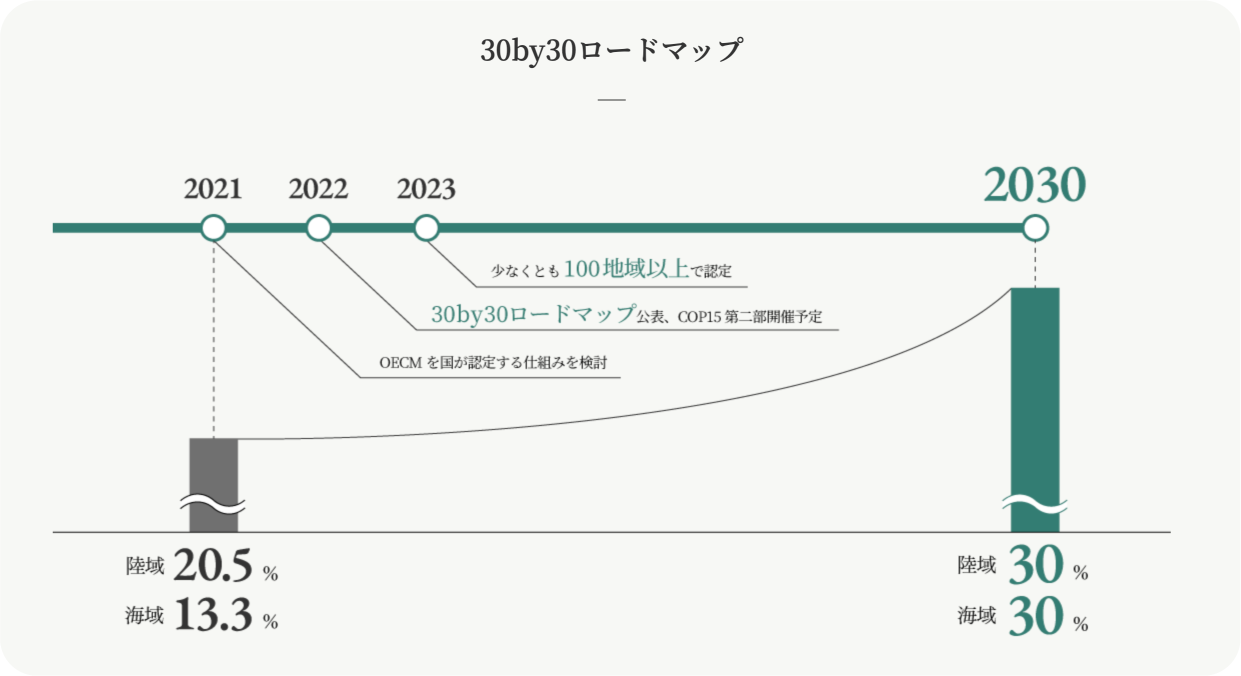 30by30でSDGsを一歩前に、間伐材ノベルティグッズの貢献 | ノベルティや記念品でSDGsに間伐材、木製グッズのWood+