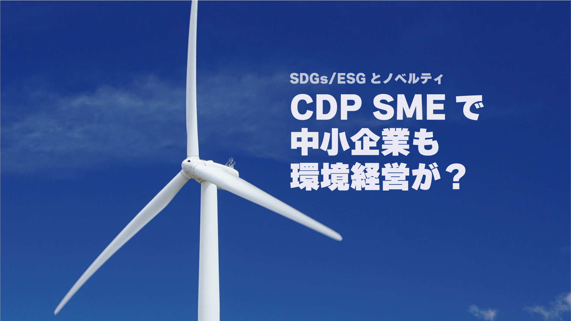 CDP SMEで中小企業も環境経営が？SDGs/ESGとノベルティ | ノベルティや記念品でSDGsに間伐材、木製グッズのWood+